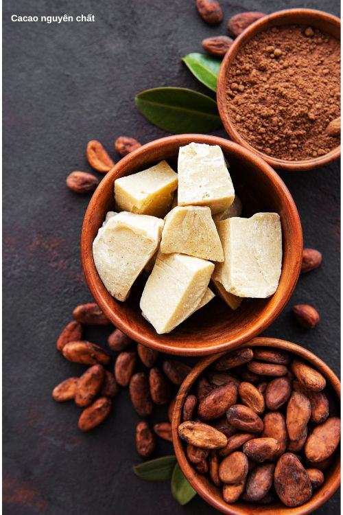 Sự Khác Biệt Giữa Cacao Nguyên Chất Và Bột Cacao Thương Mại - Opetit